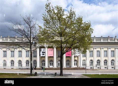 Joseph Beuys 7000 Oaks Joseph Beuys The Man Who Planted 7000 Trees
