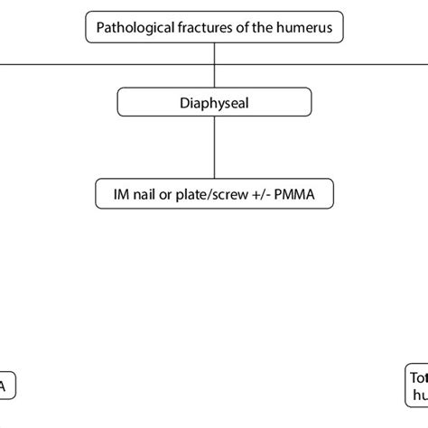 The Scoring Method Developed By Mirels 10 Download Scientific Diagram