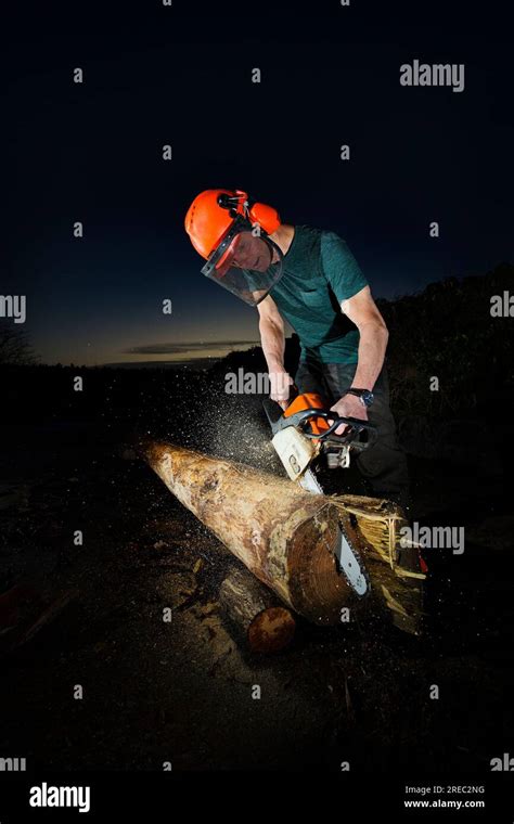 A Man Cutting A Tree Trunk In Half Lengthways With A Chainsaw Under A