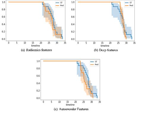 Figure 13 From Effective Approaches To Fetal Brain Segmentation In Mri And Gestational Age