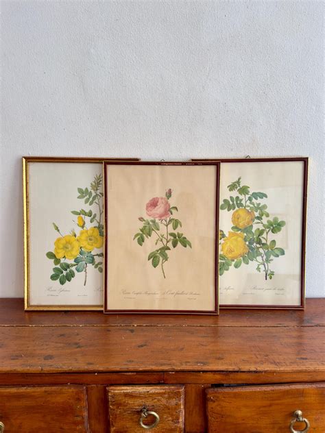Redouté Rose Prints Set French Botanical Wall Art In Gold Frames Etsy