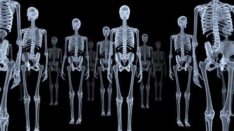 X Ray ‘ghost Images Could Cut Radiation Doses Science Aaas