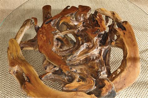 Table Trends Hidden Treasures Root Ball Cocktail Table With Glass Top