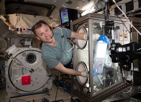 Nasa Microgravity Experiments