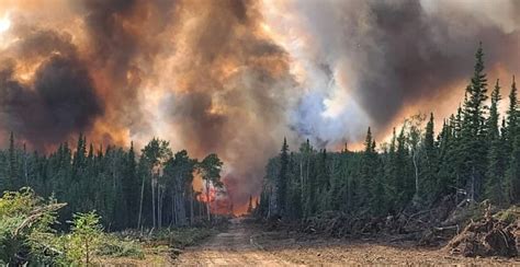 Officials Still Assessing Damage After Interior Alaska Fire Runs