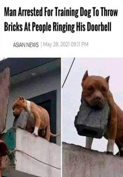 Latest Memes New Memes Memedroid