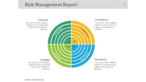 Risk Management Report Ppt Powerpoint Presentation Summary