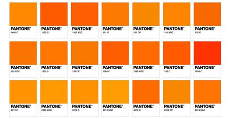 Colorways Orange You Glad Its Summer Block Club