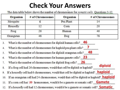 Free Chromosome Worksheet Answers Download Free Chromosome Worksheet