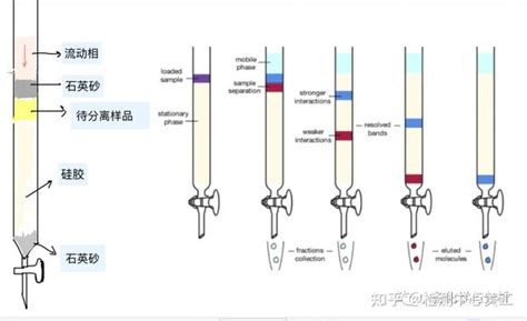 【分析基础】分离方法之过柱子 知乎