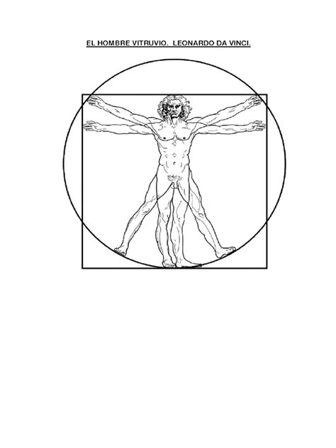 Hombre De Vitrubio Ejercicio Pdf