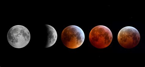 ¿por Qué La Luna Se Teñirá De Sangre En El Eclipse De Este 14 De