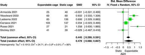 Comparison Of Surgical Outcomes Between Lumbar Interbody Fusions Using