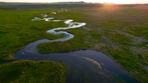 Coco Rosa On Linkedin The Point Of Life Is To Come And Experience The Beauty Of The World To…