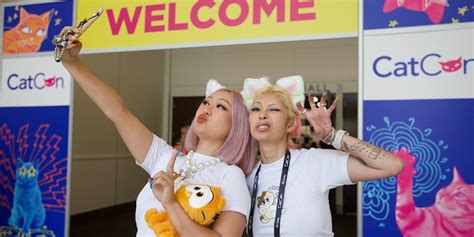 Catcon 2026 Tickets Saturday October 10 Sunday October 11 Eventbrite