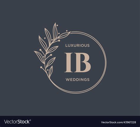 Ib Initials Letter Wedding Monogram Logos Vector Image