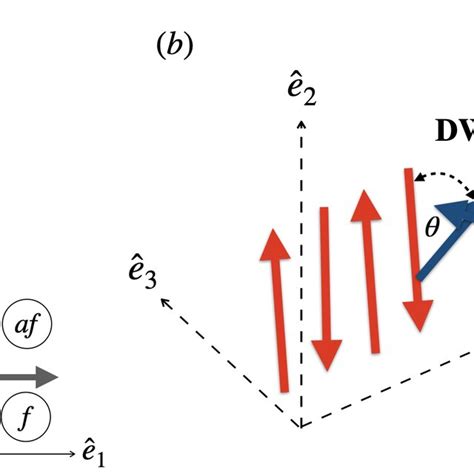 A The Zig Zag Lattice Along Thê E1 Axis Consists Of Dipoles Located