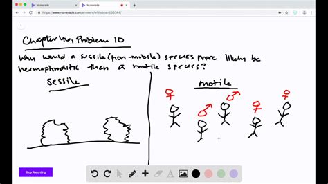 Solvedthe Phenotype Of An Early Stage Human Embryo Is Considered