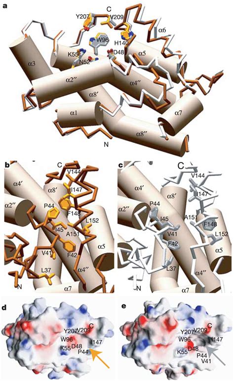 Structural Basis For Glycosphingolipid Transfer Specificity Abstract