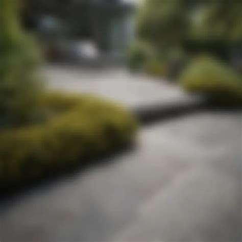 Lichen Removal From Patio Techniques And Considerations
