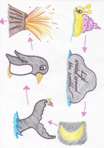 Snail And The Whale Story Map Teaching Resources