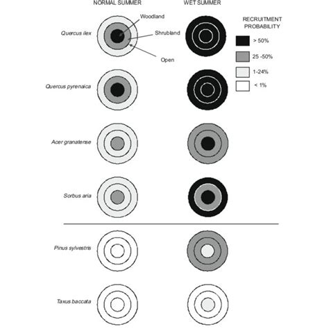 Medina Classification Of The Lesions Download Table