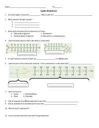 Lipids Worksheet Review Questions Docsity