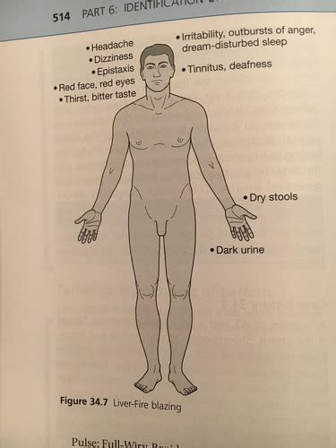 Livergb Diagnosis And Function Flashcards Quizlet