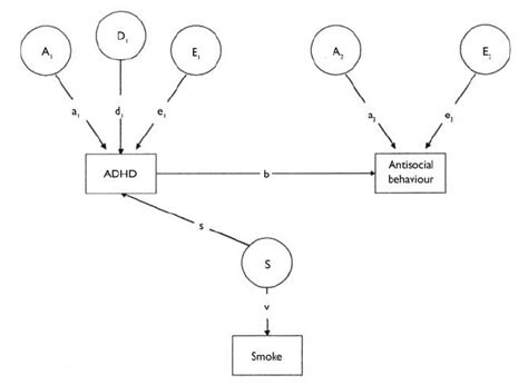 A Causal Model A 1 Additive Genetic Effects Influencing