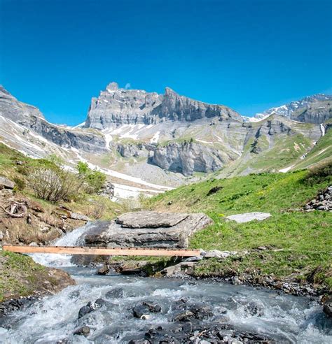 Magic Pass Foraging Hike In Saille