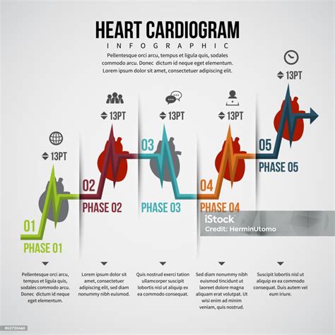 Infografis Kardiogram Jantung Ilustrasi Stok Unduh Gambar Sekarang