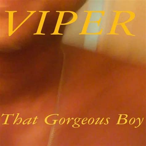 Viper That Gorgeous Boy Reviews Album Of The Year