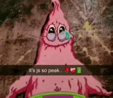 Ts So Peak Meme Ts So Peak Discover And Share S