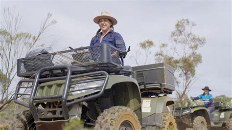 Where To Watch Aussie Gold Hunters • Season 10 Online Plex