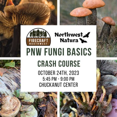 fungi basics crash course whatcomtalk