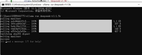 如何在windows下离线部署deepseek并以webapi形式调用 windowserver安装离线版deepseek csdn博客