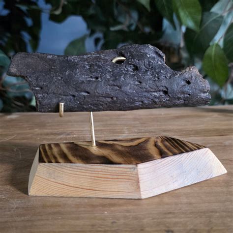 Alligator Jaw Fossil D Skullstore Inc
