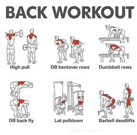 Back Workout Back Workout Guide Back Day Exercises Gym Back Day