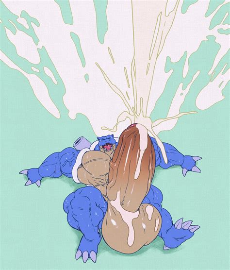 Post 4700437 Blastoise Porkyman Ws