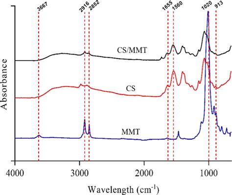 Ir Spectrum Of Chitosan Mmt And Csmmt Composite Groups Download