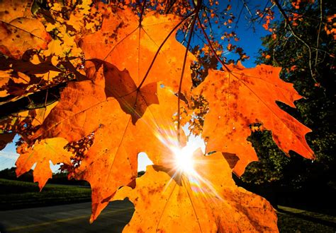 When Is The First Day Of Fall Heres When The Autumnal Equinox Is