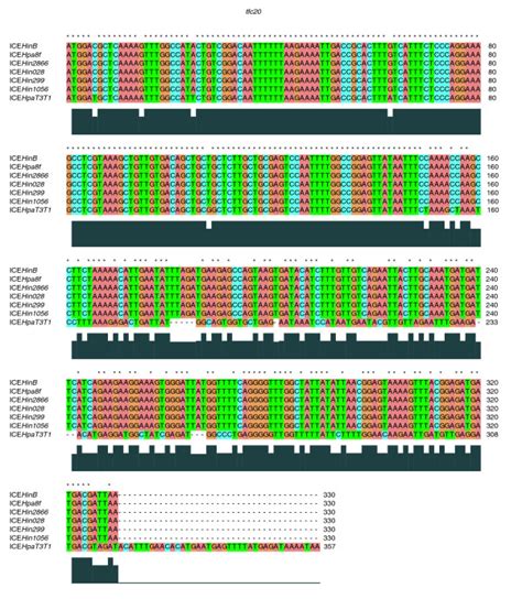 Nucleic Acid Sequences At Isaac Hague Blog