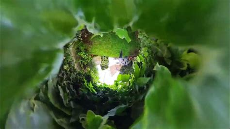 Under Attack Again Kevin B Lederman Clip Youtube