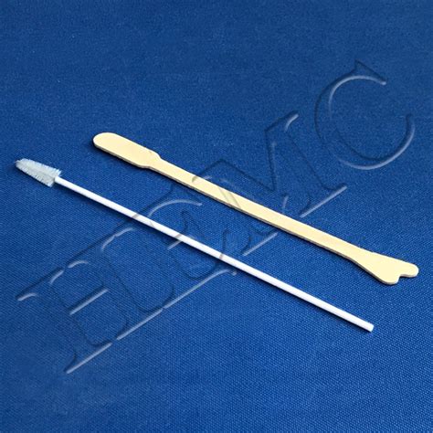 What Is The Tool Called For A Pap Smear At Carey Shaw Blog
