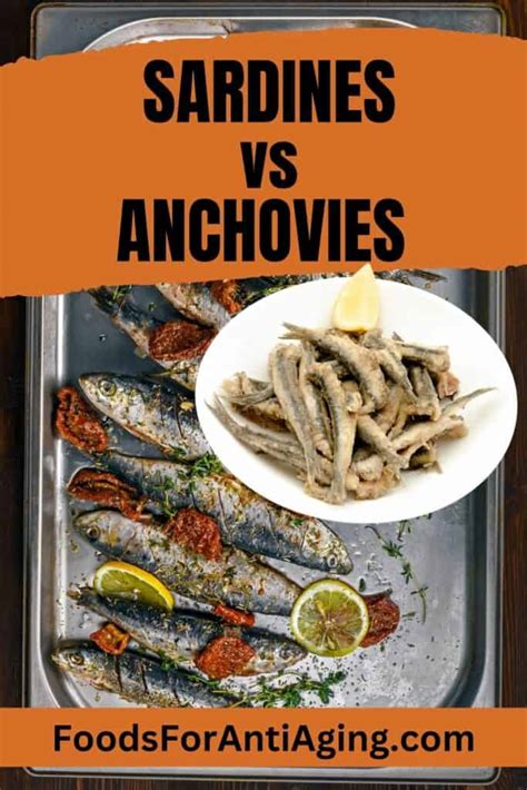 Anchovies Vs Sardines Whats The Difference Lets Compare