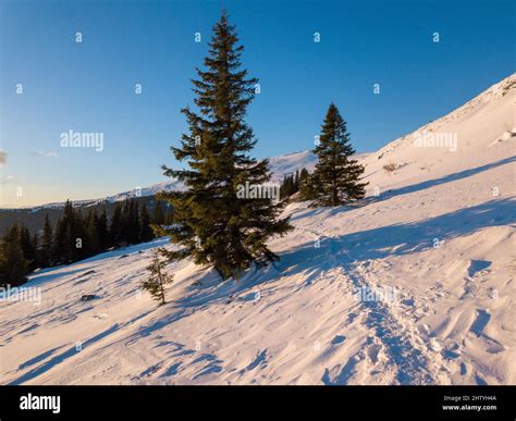 Beautiful View Of The Mount Vitosha Covered With Snow During The Sunrise In Sofia Bulgaria