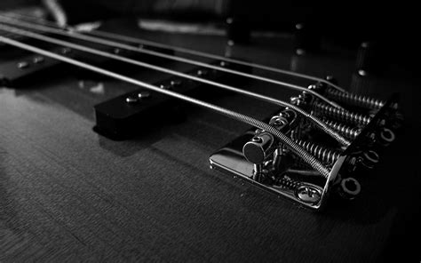String Bass Guitar Wallpapers 22 Images Wallpapercat