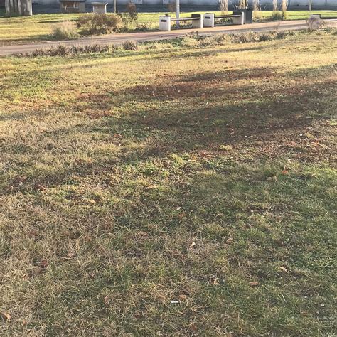 Stary Rinok 2025 All You Need To Know Before You Go With Photos