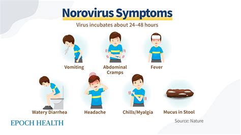 Norovirus Symptoms