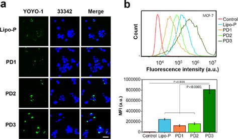 Cell Uptake Of Diverse Plasmid Delivery Systems In Tumorous Mcf 7 Cells Download Scientific